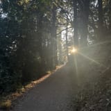 Cinderella, Sunset, Sequoia Bayview Loop Trail, California - 262 ...