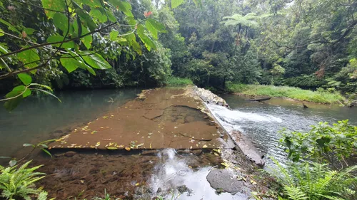 Best Camping Trails in Tully Falls National Park | AllTrails