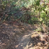 Monroe Ridge Trail and the Monument Trail, California - 829 Reviews ...