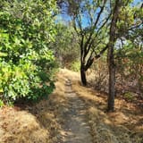 Monroe Ridge Trail and the Monument Trail, California - 829 Reviews ...