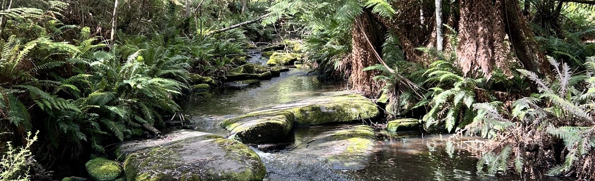 Lower Kalimna Falls, Victoria, Australia - 67 Reviews, Map | AllTrails