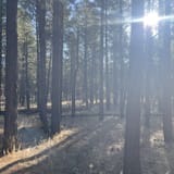 Mars Hill Trail Loop, Arizona - 1,365 Reviews, Map | AllTrails