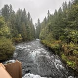 Koosah and Sahalie Falls Trail, Oregon - 1,537 Reviews, Map | AllTrails
