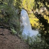 Koosah and Sahalie Falls Trail, Oregon - 1,537 Reviews, Map | AllTrails