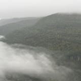Huckleberry Point Trail, New York - 1,669 Reviews, Map | AllTrails