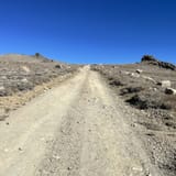 White Mountain Peak Trail, California - 908 Reviews, Map | AllTrails
