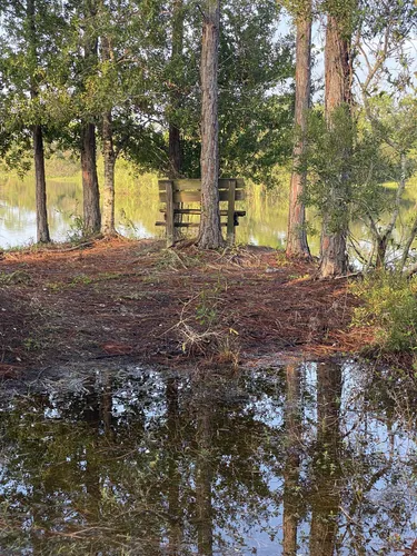Best Hikes and Trails in Pop Ash Creek Preserve | AllTrails