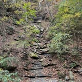 Fall Run Trail, Pennsylvania - 794 Reviews, Map | AllTrails