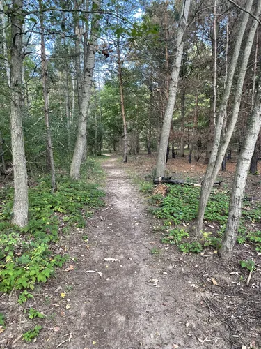 Best Hikes and Trails in Meridian County Park | AllTrails