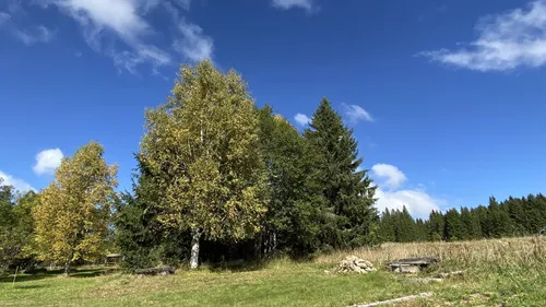 10 Best Walking Trails in Chráněná krajinná oblast (CHKO) Šumava ...