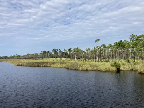 2023 Best Bike Touring Trails in Gulf State Park | AllTrails