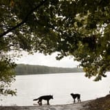 Gates Pond, Massachusetts - 1,133 Reviews, Map | AllTrails