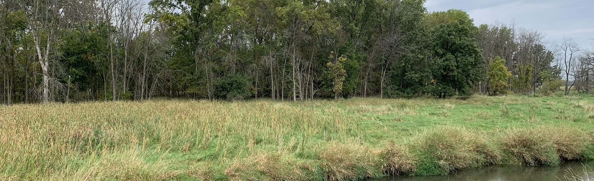 Fox River Trail, Wisconsin - 61 Reviews, Map | AllTrails