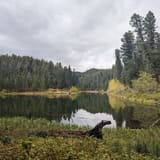 Whits Lakes Spring, Montana - 142 Reviews, Map | AllTrails