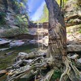 Greeter Falls Loop, Tennessee - 1,019 Reviews, Map | AllTrails