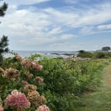 Parson's Way, Maine - 348 Reviews, Map | AllTrails