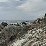 Parson's Way, Maine - 348 Reviews, Map | AllTrails