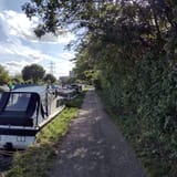 River Lee Paddle Route: 351 Fotos - London, England | Wandern | AllTrails
