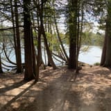 Beaver Lake Loop, Michigan - 125 Reviews, Map | AllTrails