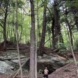 Beaver Lake Loop, Michigan - 125 Reviews, Map | AllTrails
