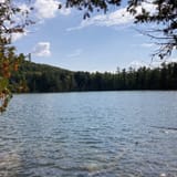 Beaver Lake Loop, Michigan - 125 Reviews, Map | AllTrails