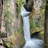 Toketee Falls, Oregon - 1,981 Reviews, Map | AllTrails