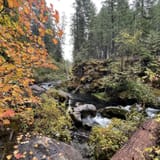 Toketee Falls, Oregon - 1,981 Reviews, Map | AllTrails