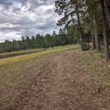 Ice Cave via Blue Ridge Cave Trail No. 608, Arizona - 525 Reviews, Map ...