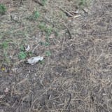 Ice Cave via Blue Ridge Cave Trail No. 608, Arizona - 525 Reviews, Map ...