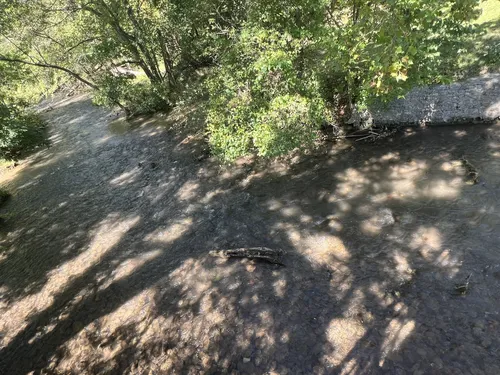 Best Hikes and Trails in Ritter Springs Park | AllTrails