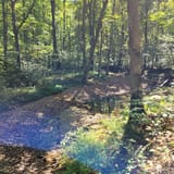 Panther Den Loop, Illinois - 846 Reviews, Map | AllTrails