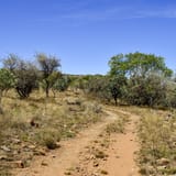 Sable Ranch Trail, Gauteng, South Africa - 213 Reviews, Map | AllTrails