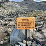 Muir Snowfield Ski Tour, Washington - 1,566 Reviews, Map | AllTrails