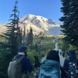 Muir Snowfield Ski Tour, Washington - 1,566 Reviews, Map | AllTrails