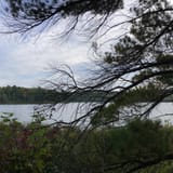 Beaver Lake Loop, Michigan - 125 Reviews, Map | AllTrails