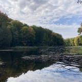 Beaver Lake Loop, Michigan - 125 Reviews, Map | AllTrails