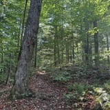 Goodnow Mountain Trail, New York - 1,219 Reviews, Map | AllTrails