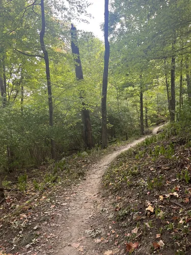 Best Hikes and Trails in Devou Park | AllTrails