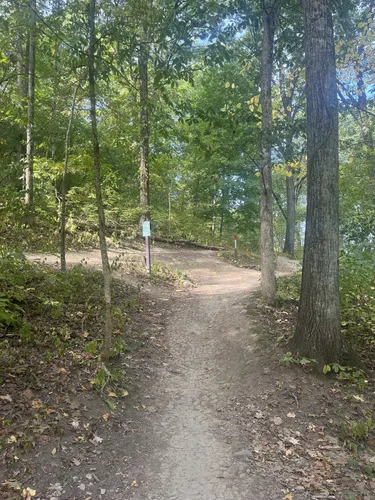 Best Hikes and Trails in Devou Park | AllTrails