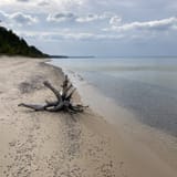 Beaver Lake Loop, Michigan - 125 Reviews, Map | AllTrails