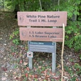 Beaver Lake Loop, Michigan - 132 Reviews, Map | AllTrails