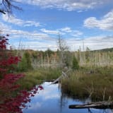Beaver Lake Loop, Michigan - 132 Reviews, Map | AllTrails
