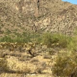 Black Rock Loop Trail, Arizona - 655 Reviews, Map | AllTrails
