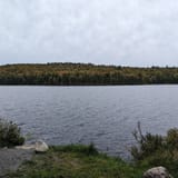 Grout Pond Trail, Vermont - 298 Reviews, Map | AllTrails