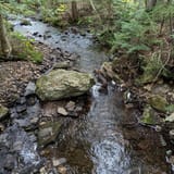 Grout Pond Trail, Vermont - 298 Reviews, Map | AllTrails