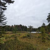 Grout Pond Trail, Vermont - 298 Reviews, Map | AllTrails