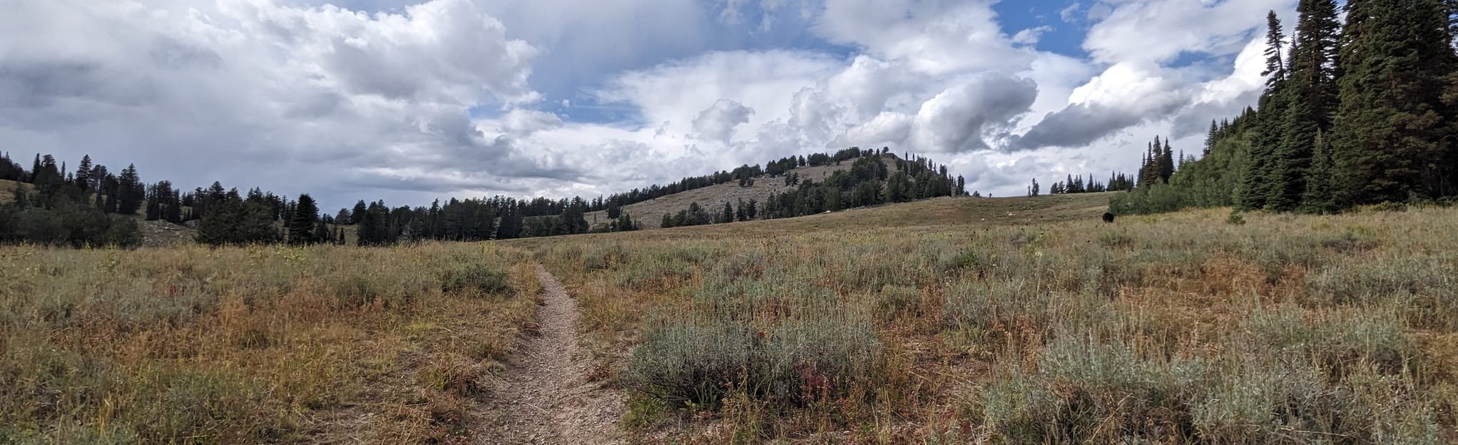 Coldwater Spring, Utah - 40 Reviews, Map | AllTrails