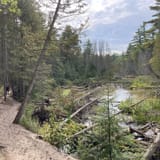 Beaver Lake Loop, Michigan - 125 Reviews, Map | AllTrails