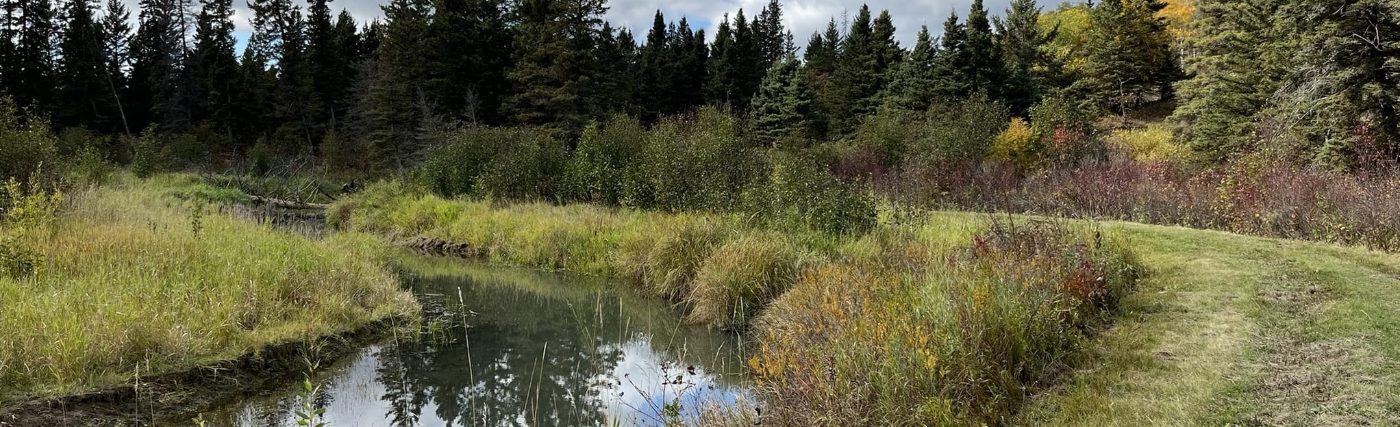 Jackfish Lake Cabin via Épinette Creek Trails, Manitoba, Canada - 30 ...