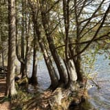 Beaver Lake Loop, Michigan - 125 Reviews, Map | AllTrails